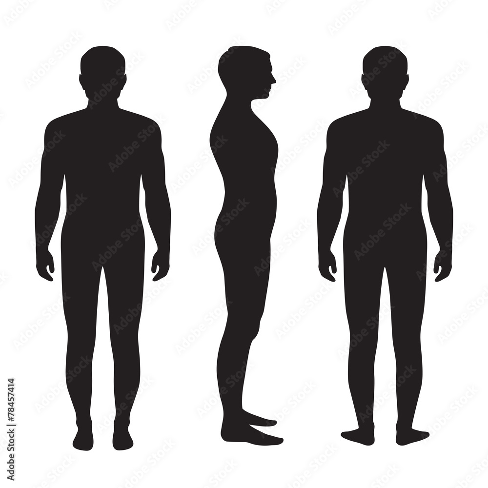 human body anatomy, vector man silhouette, front back side Stock Vector ...