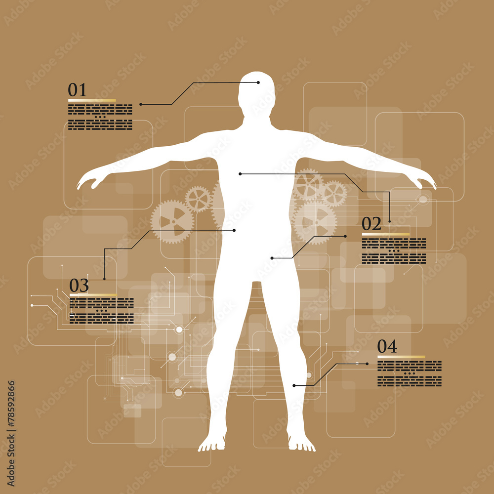 Infographics Human Body Anatomy Stock Vector | Adobe Stock