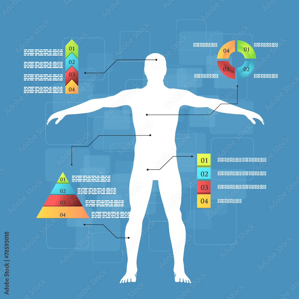 Infographics Human Body Anatomy Stock Vector | Adobe Stock