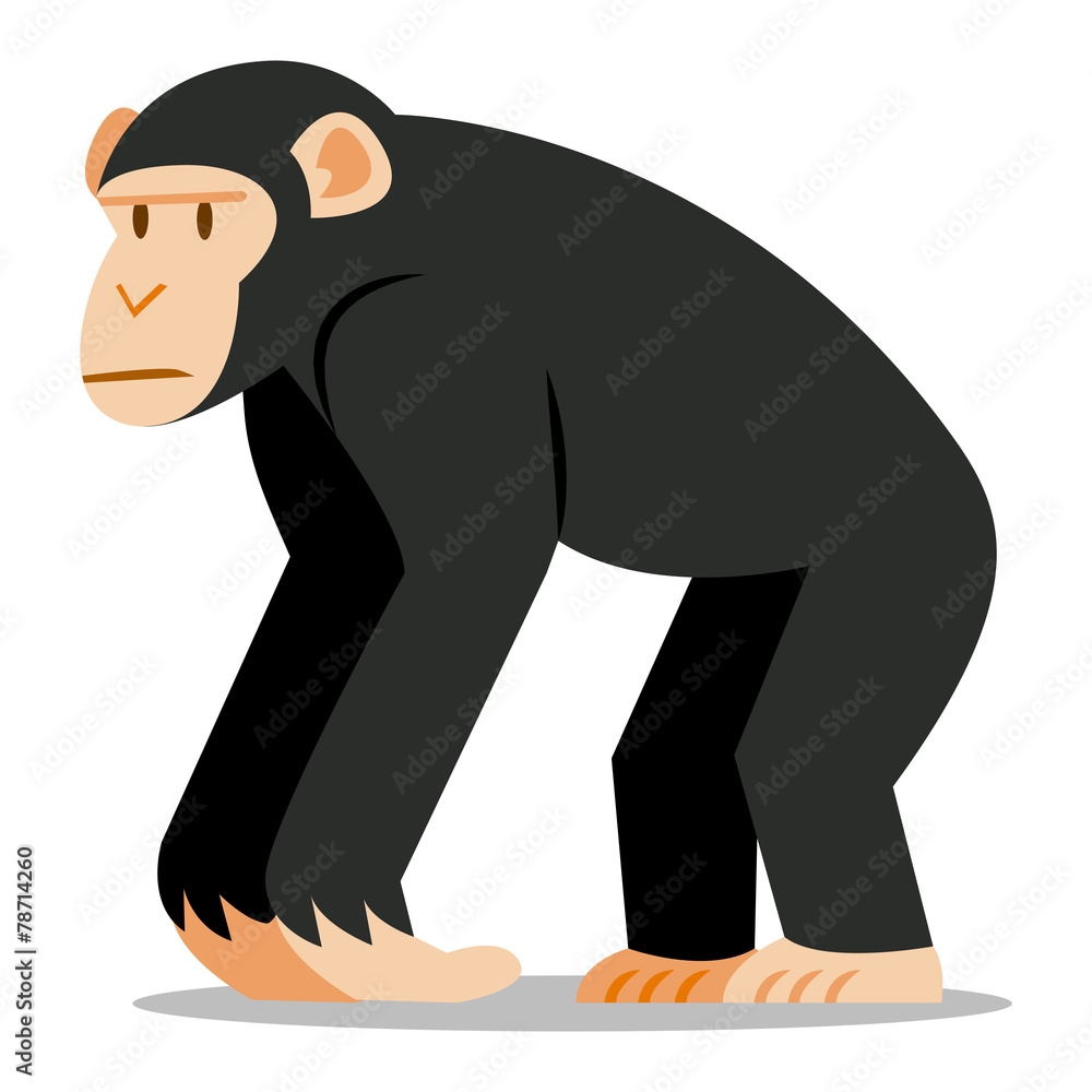 Cartoon Chimp Isolated On Blank Background Stock Vector | Adobe Stock