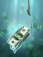 Money, Fish, Fishing, Hook, Cash, Free Stock Photo - Public Domain Pictures