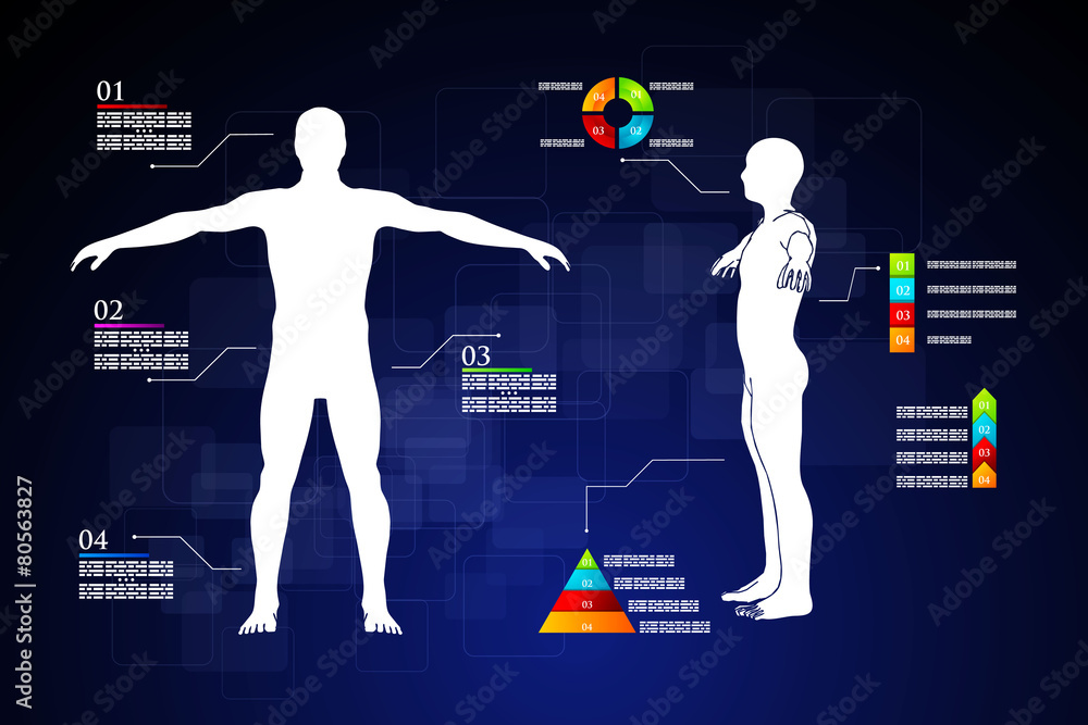 Infographics Human Body Anatomy Stock Vector | Adobe Stock