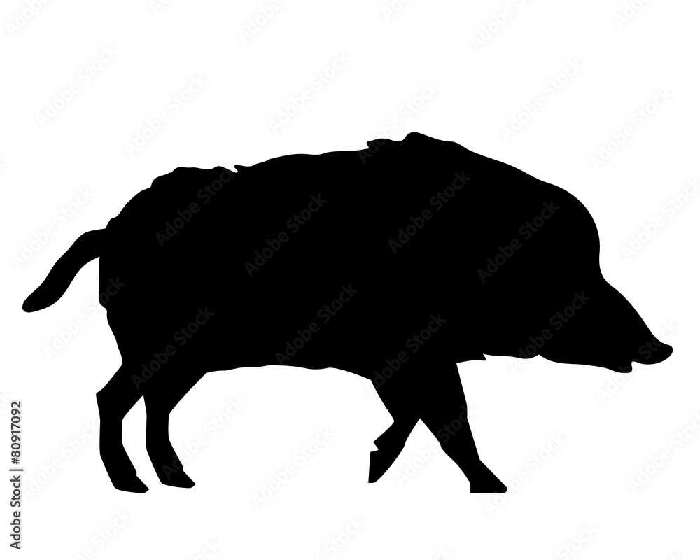Stock-Vektorgrafik „Wildschwein Silhouette“ | Adobe Stock