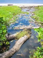 Stagnated Polluted Water Free Stock Photo - Public Domain Pictures
