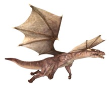 2 Dragons Free Stock Photo - Public Domain Pictures