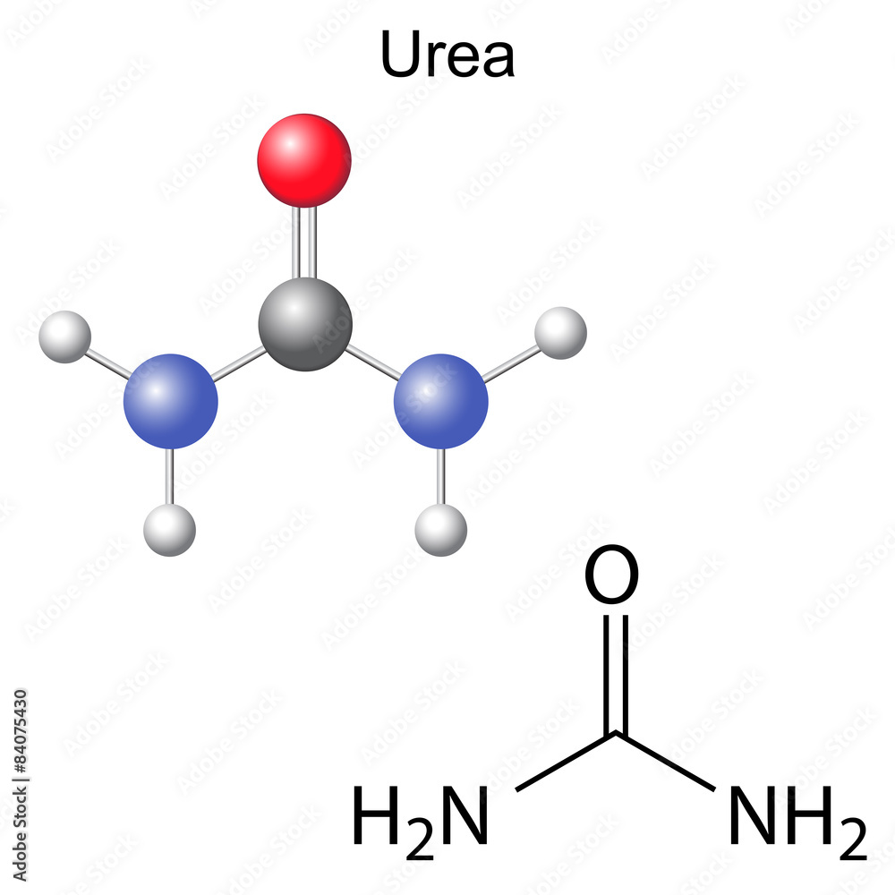 Chemical formula and model of urea molecule Stock Vector | Adobe Stock