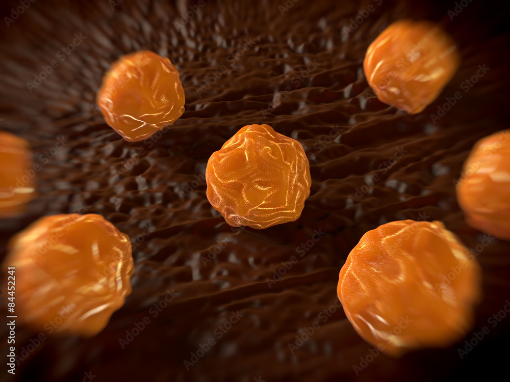 Bone marrow, stem cells of human bone marrow stem cells. These cells ...