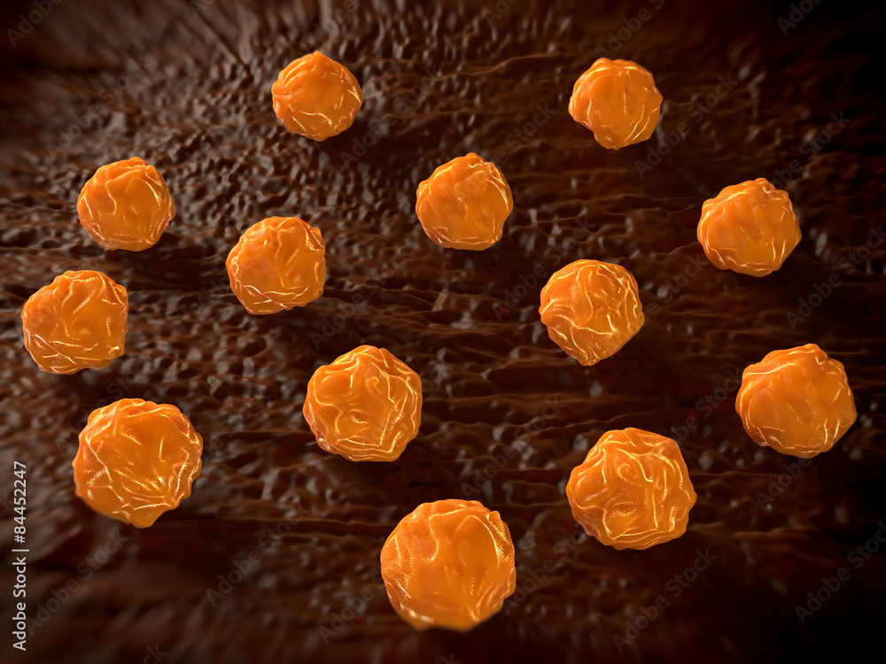 Bone Marrow Stem Cells Of Human Bone Marrow Stem Cells These Cells