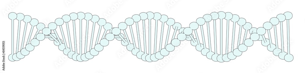 cartoon image of DNA model Stock Illustration | Adobe Stock