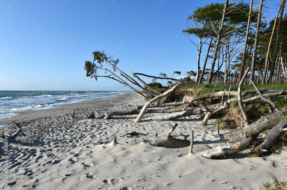 Darßer Weststrand Stock Photo | Adobe Stock