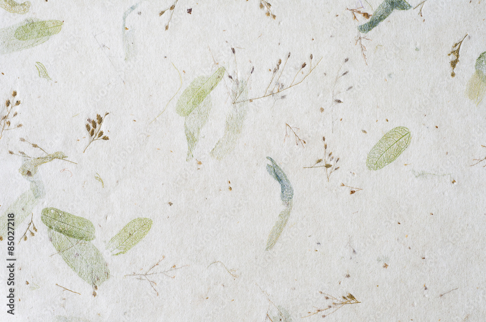 Mulberry paper texture Stock Photo | Adobe Stock