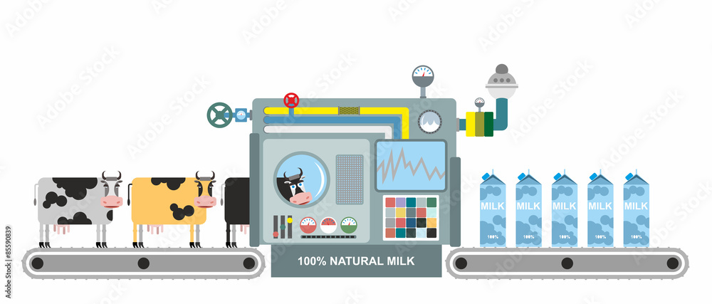 Infographics milk production. Stages of milk production from co Stock ...