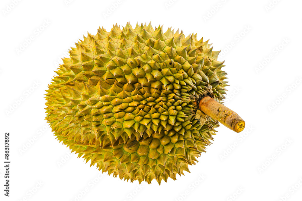 Durian fruit isolated on white background, Fresh fruit from orchard ...