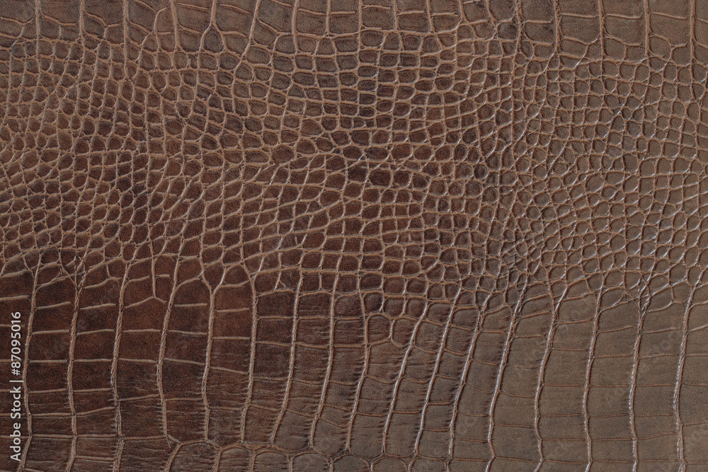 Brown crocodile leather texture background Stock Photo | Adobe Stock