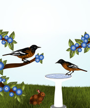 Rabbit Birdbath Free Stock Photo - Public Domain Pictures