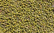 Mongo Beans Free Stock Photo - Public Domain Pictures