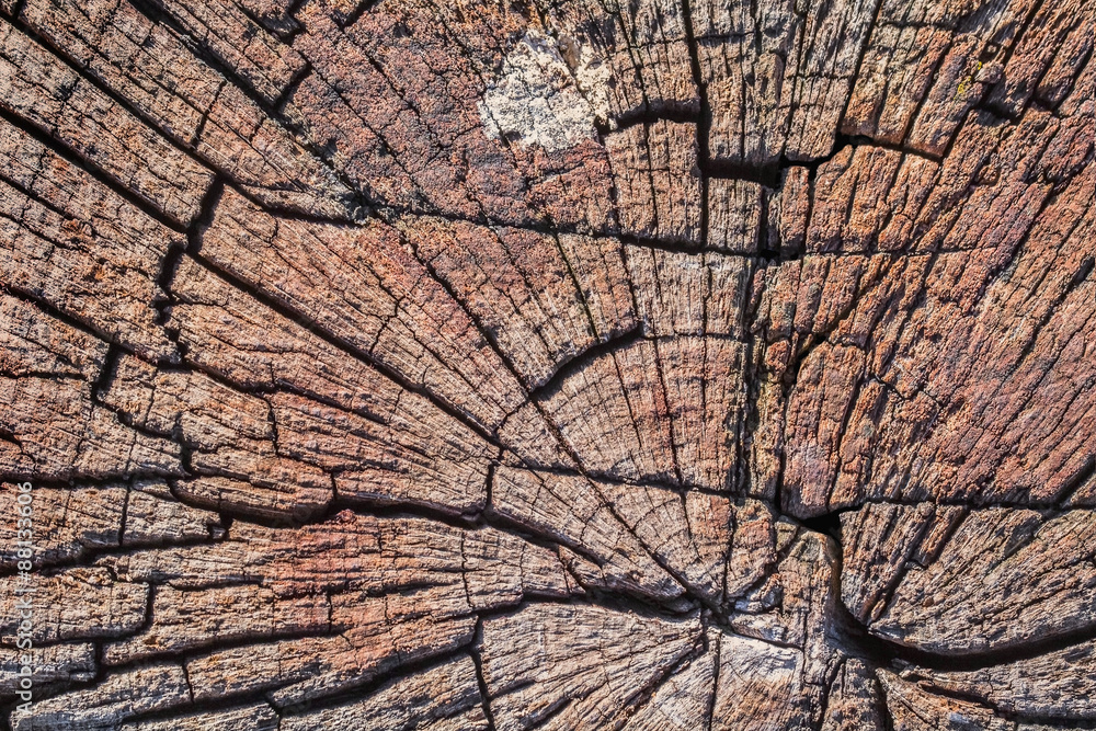 Top surface of an old, bituminous, weathered, rotten, Square Timber ...