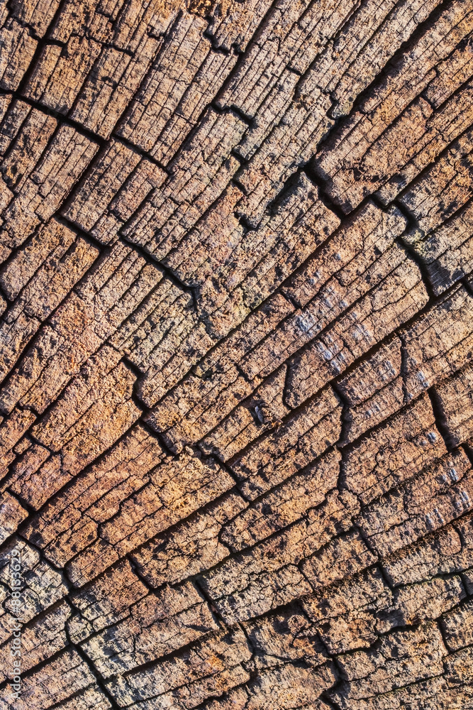 Top surface of an old, bituminous, weathered, rotten, Square Timber ...