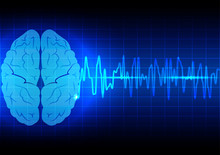Brain Signals Free Stock Photo - Public Domain Pictures