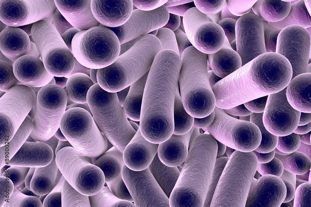 Microscopic illustration of bacteria, model of bacteria, realistic ...