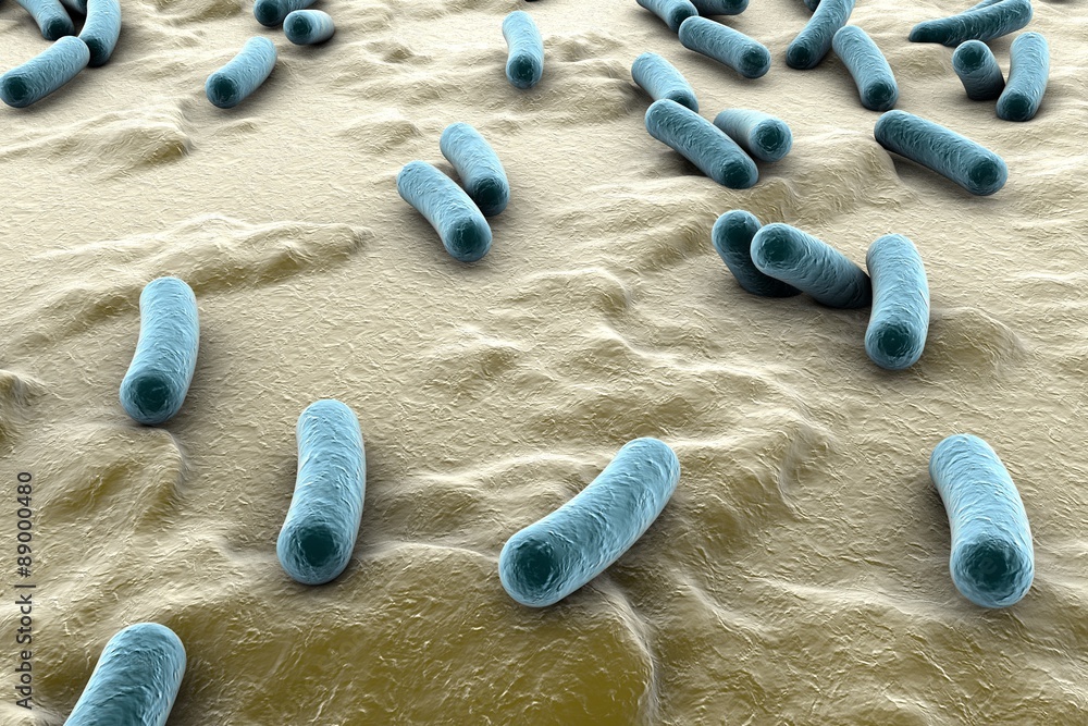 Ilustración de Stock Bacteria on surface of skin, mucous membrane or ...