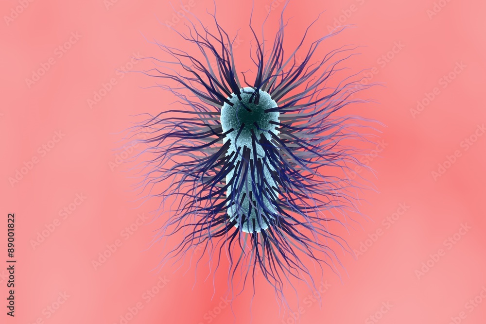 Microscopic view of Escherichia coli, Salmonella, enteric bacteria on ...