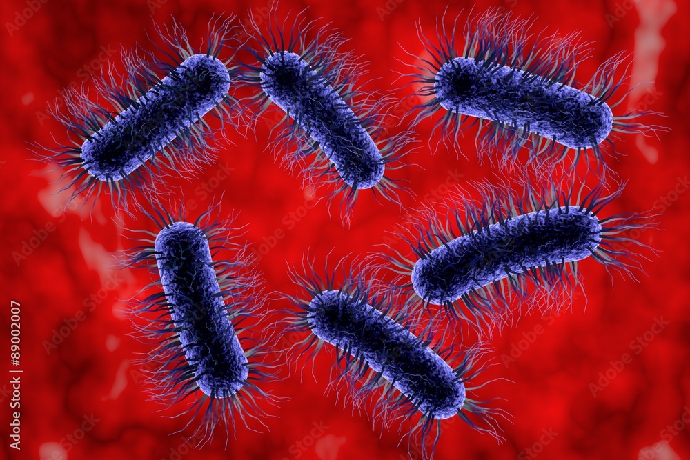 Illustration Stock Microscopic view of Escherichia coli, Salmonella ...