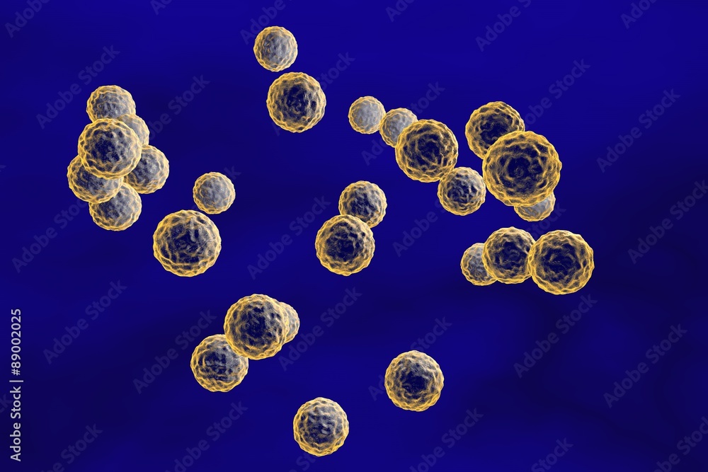 Enterovirus, Picornavirus, Picornaviridae, Rhinovirus, model of virus ...
