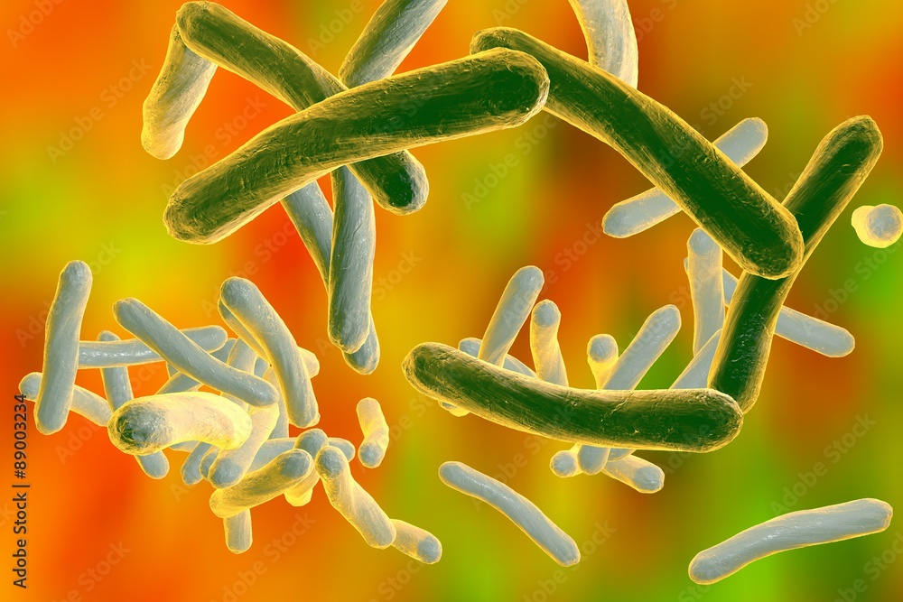 Microscopic view of Mycobacterium tuberculosis, model of bacteria ...