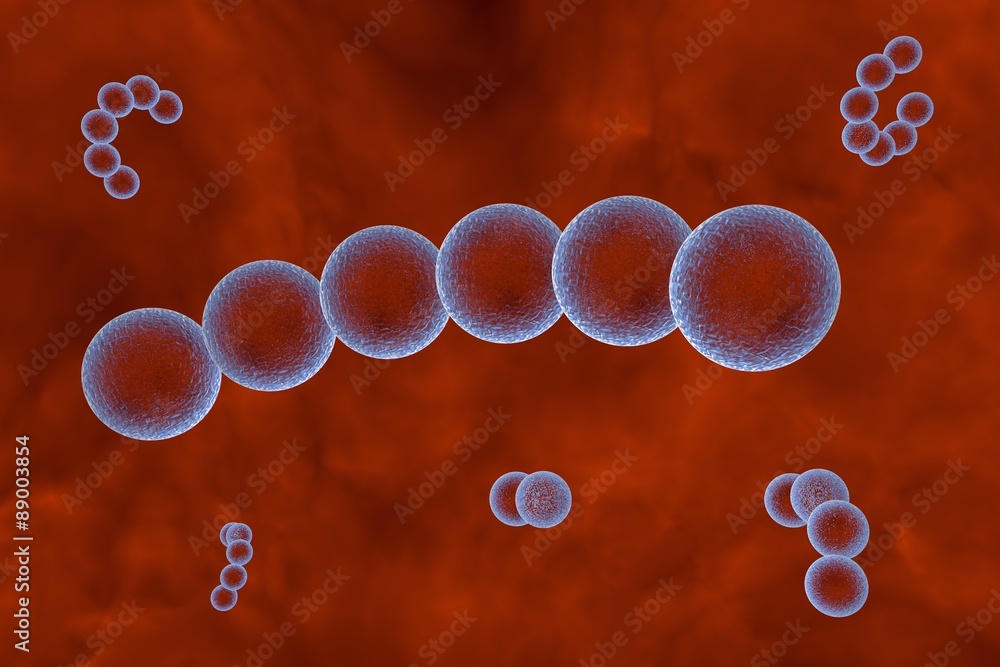 Streptococci. Spherical bacteria on the surface of skin or mucous ...