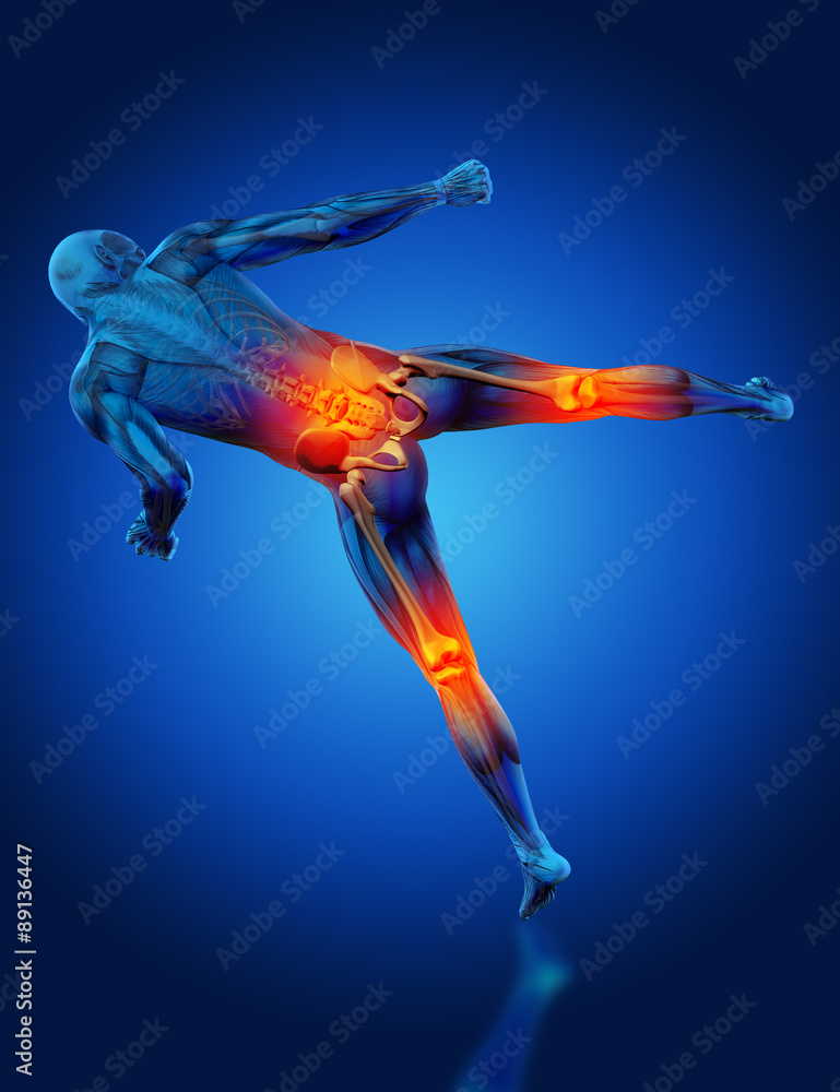 3D male medical figure in kick boxing pose with knees and spine Stock ...