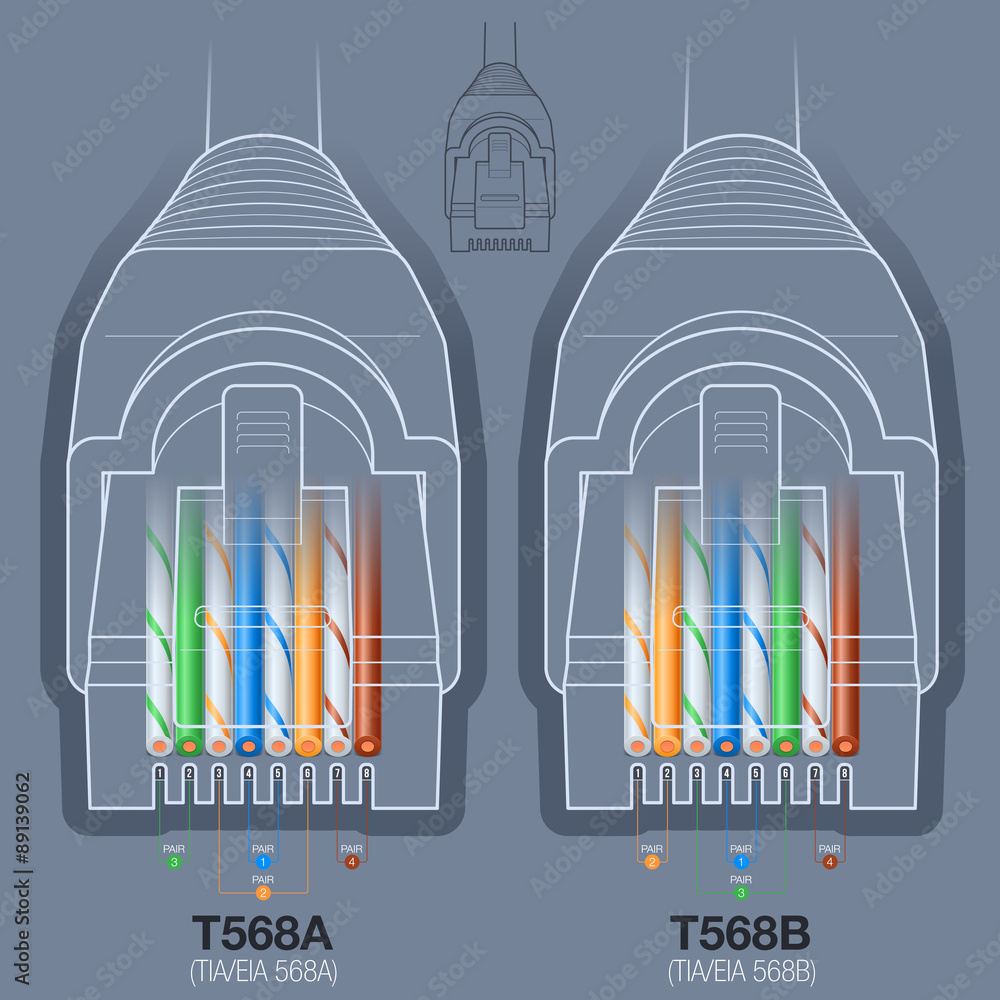 RJ45 Network Connector T568A/T568B Wiring Diagram Stock Vector | Adobe ...