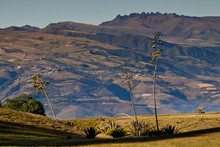 Cochasqui - Ecuador Free Stock Photo - Public Domain Pictures