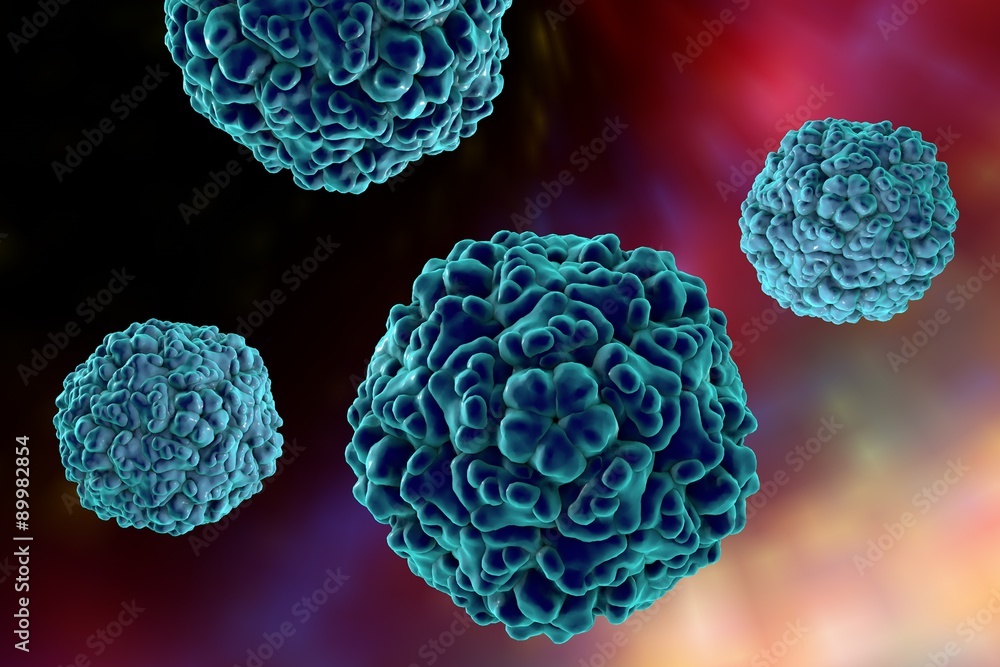 Ilustración de Stock Illustration of Enterovirus 71 which causes hand ...