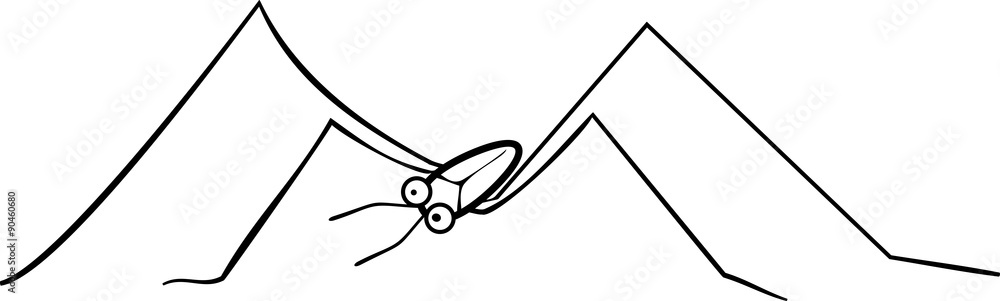 Coloring page water strider Stock Vector | Adobe Stock
