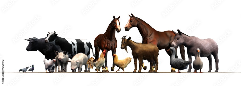 Farm Animals - separated on white background Stock Illustration | Adobe ...