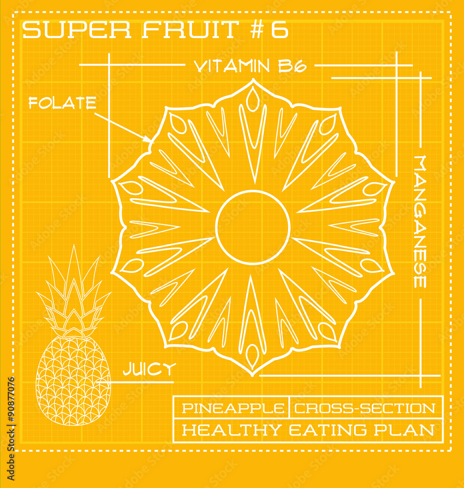 Blueprint diagram line drawing of fruit. Infographic of a pineapple ...