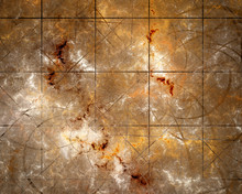 Checker Flower Free Stock Photo - Public Domain Pictures