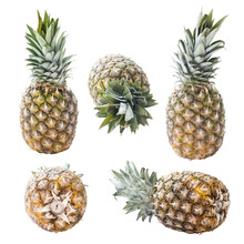 Bottom Of Pineapple Free Stock Photo - Public Domain Pictures