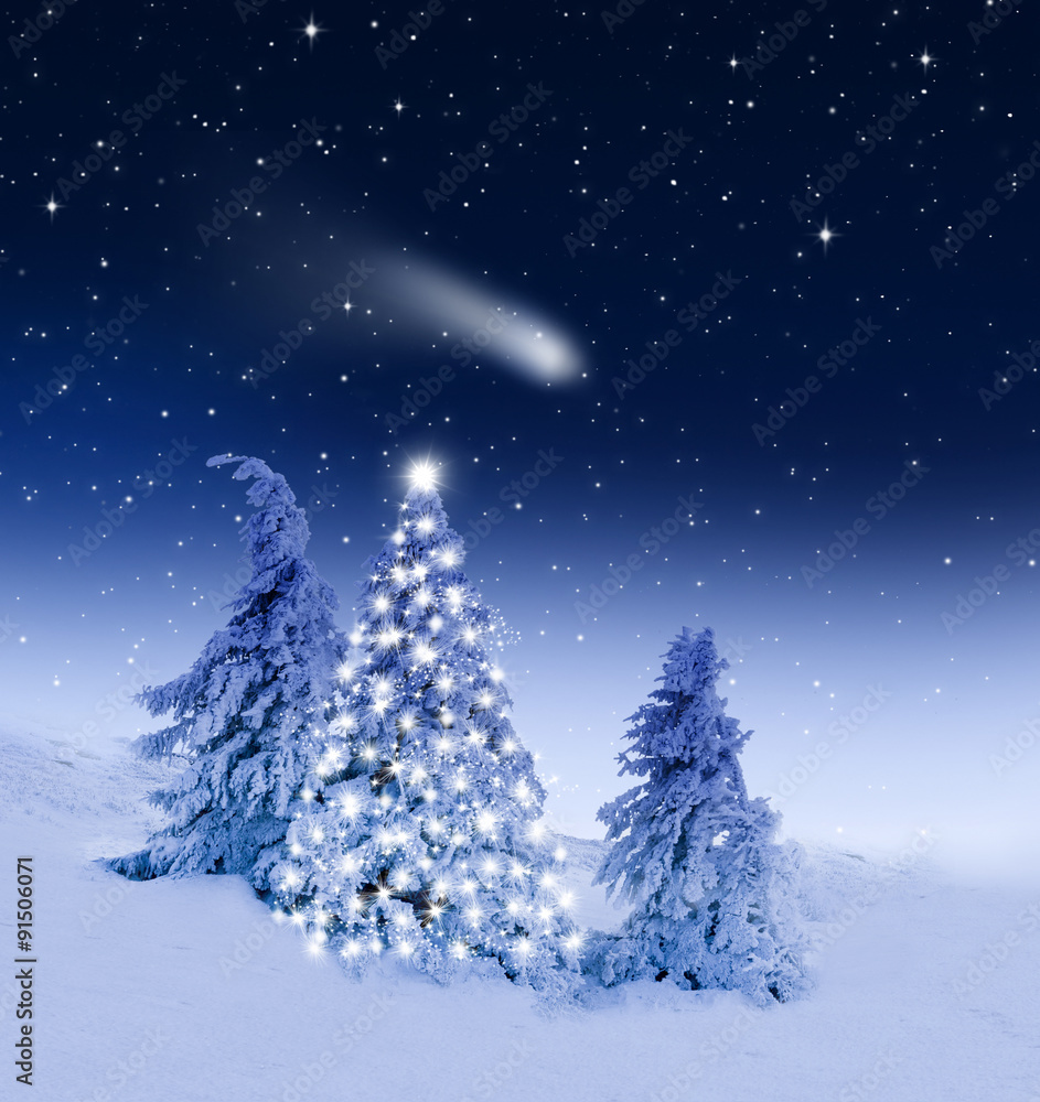 Stock-Foto „Weihnachtsbaum im Winterwald“ | Adobe Stock