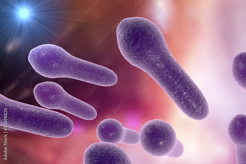 Digital illustration of Clostridium tetani, Clostridium perfringes ...