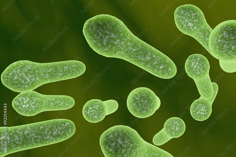 Digital illustration of Clostridium tetani, Clostridium perfringes ...