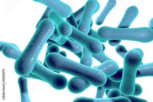 Microscopic illustration of Corynebacterium diphtheriae, Gram-positive ...