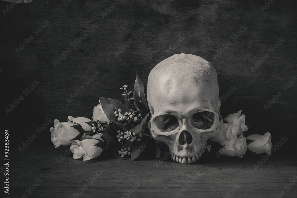 Real Human Skull Black And White