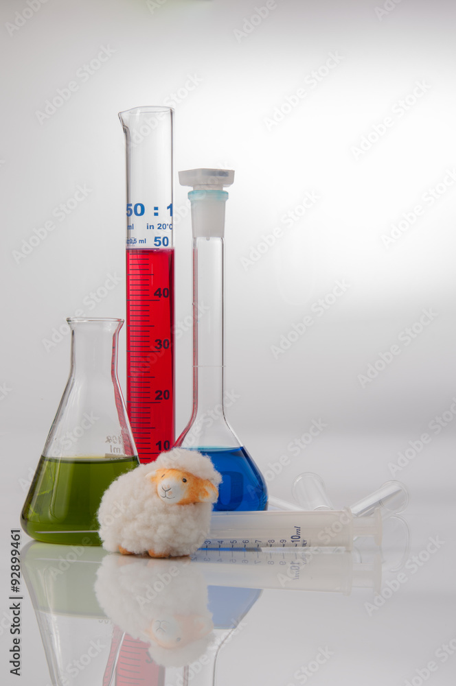 Image of a little puppet sheep in a laboratory. The picture tries to ...