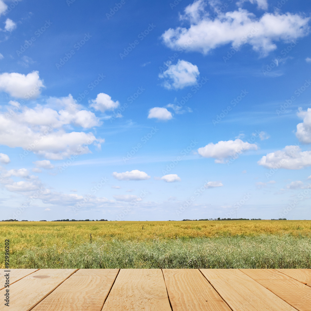 terrace wood and Beautiful landscape for background usage Stock Photo ...
