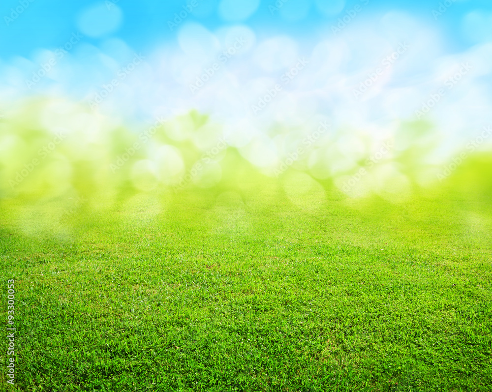 grass background Stock Photo | Adobe Stock
