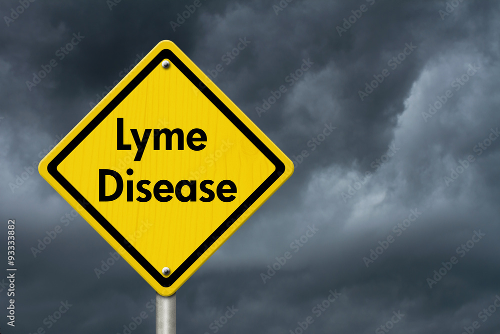 Lyme Disease Warning Road Sign Stock Photo | Adobe Stock
