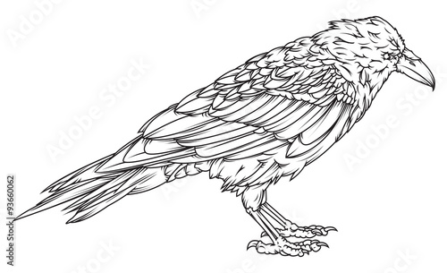 Raven Line drawing / Easy to edit isolated raven, eps 10 high res JPG ...