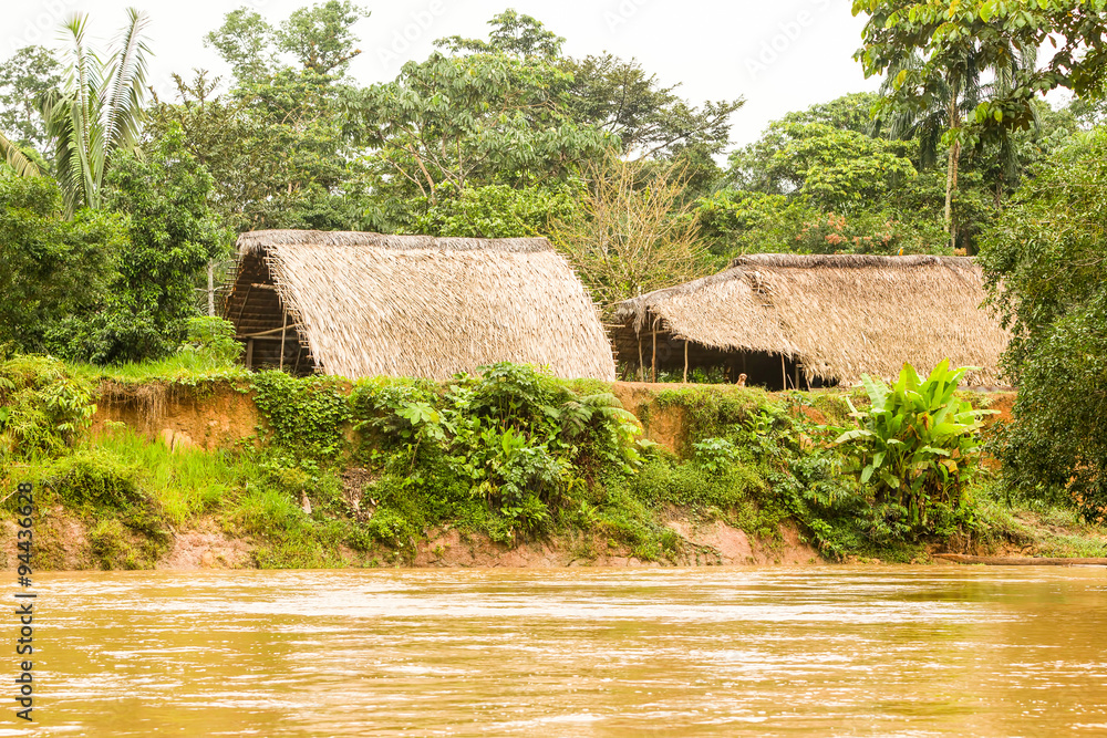 A traditional Waorani hut in the Ecuadorian Amazon jungle, home to the ...